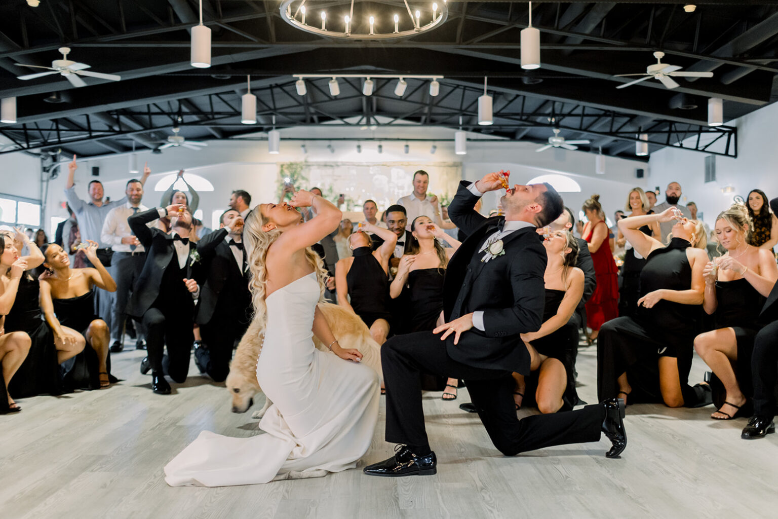 What Happens During a Wedding Reception?: A Timeline Guide